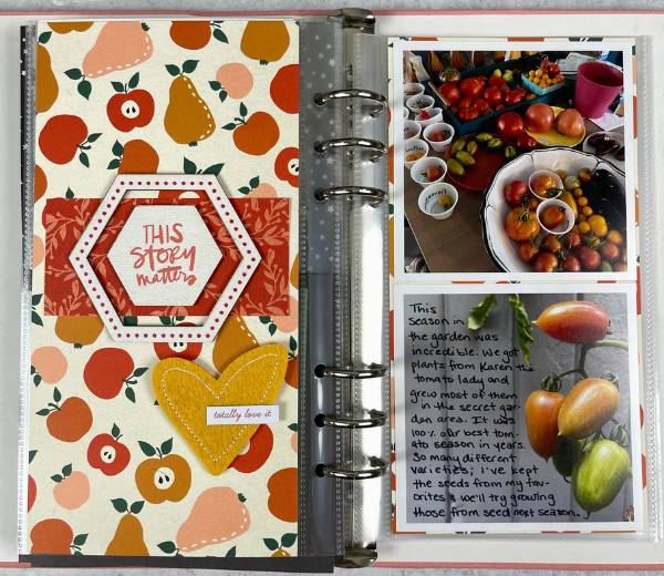 Book of Me: Chapters 2021 – The Awesome Ladies Project